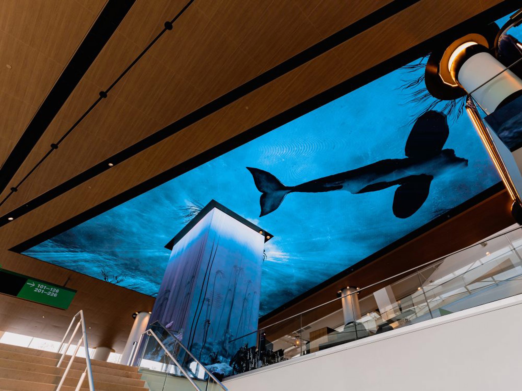 Creating an Immersive Environment: The Digital Experience Tour