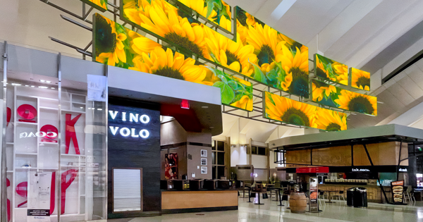 Create An Immersive Experience with Digital LED Technology