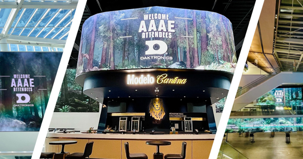 Creating an Immersive Environment: The Digital Experience Tour